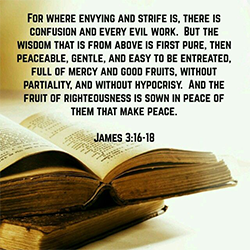 Where There is Strife – Sow Seeds of Peace – November 16, 2022 – Daily ...