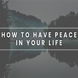 How to Have Peace – Part Four – November 8, 2025 – Daily Devotions